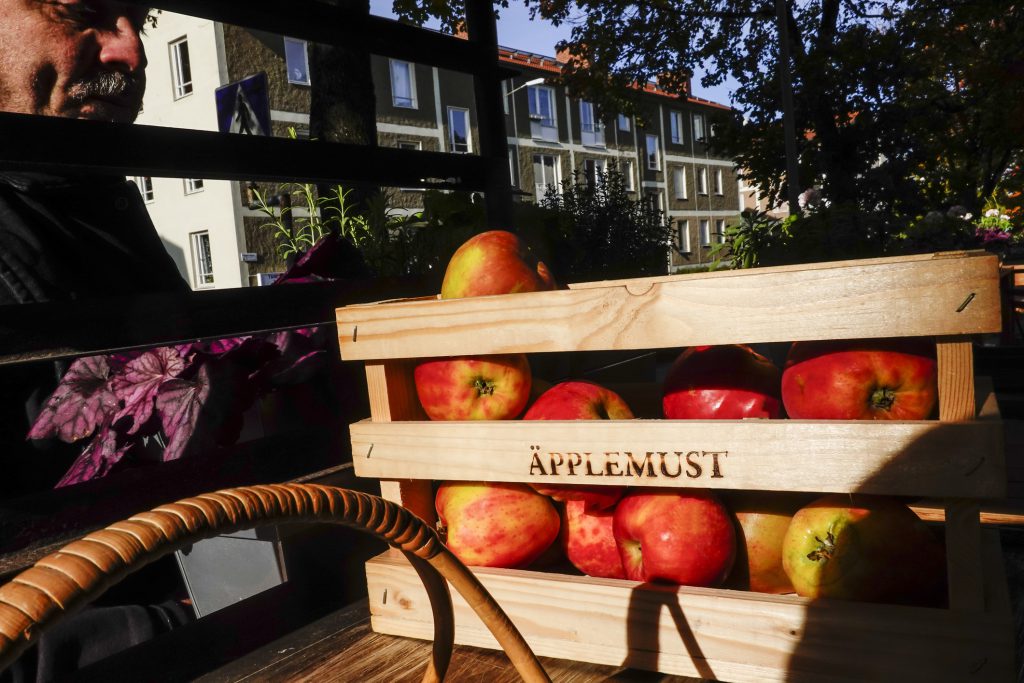 Vad ska jag göra med alla äpplen? - BYGG.se